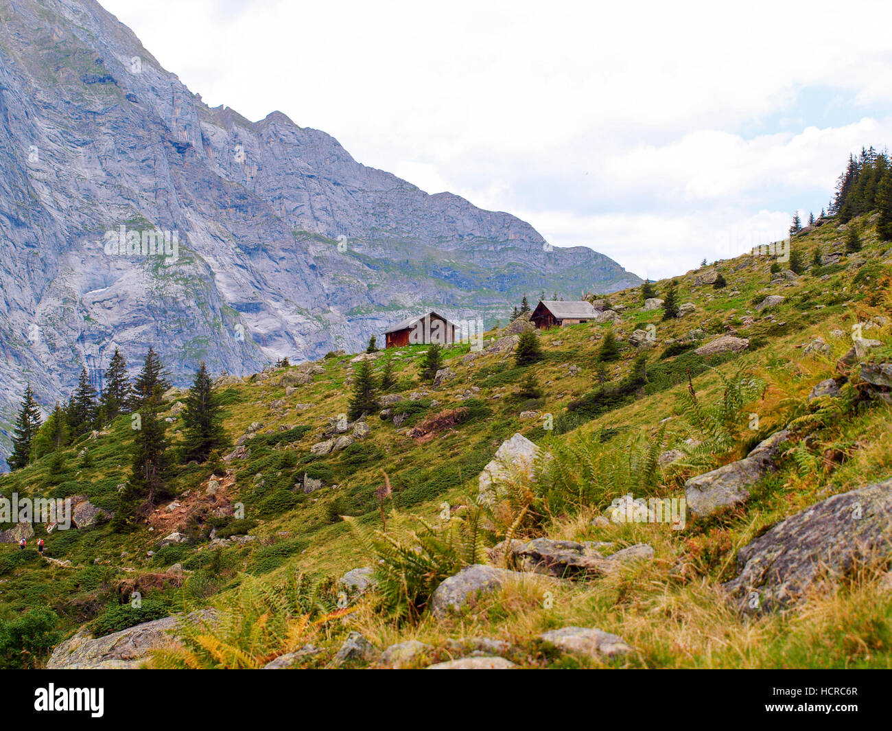alpine house on the glacier mountains, switzerland alps Stock Photo - Alamy