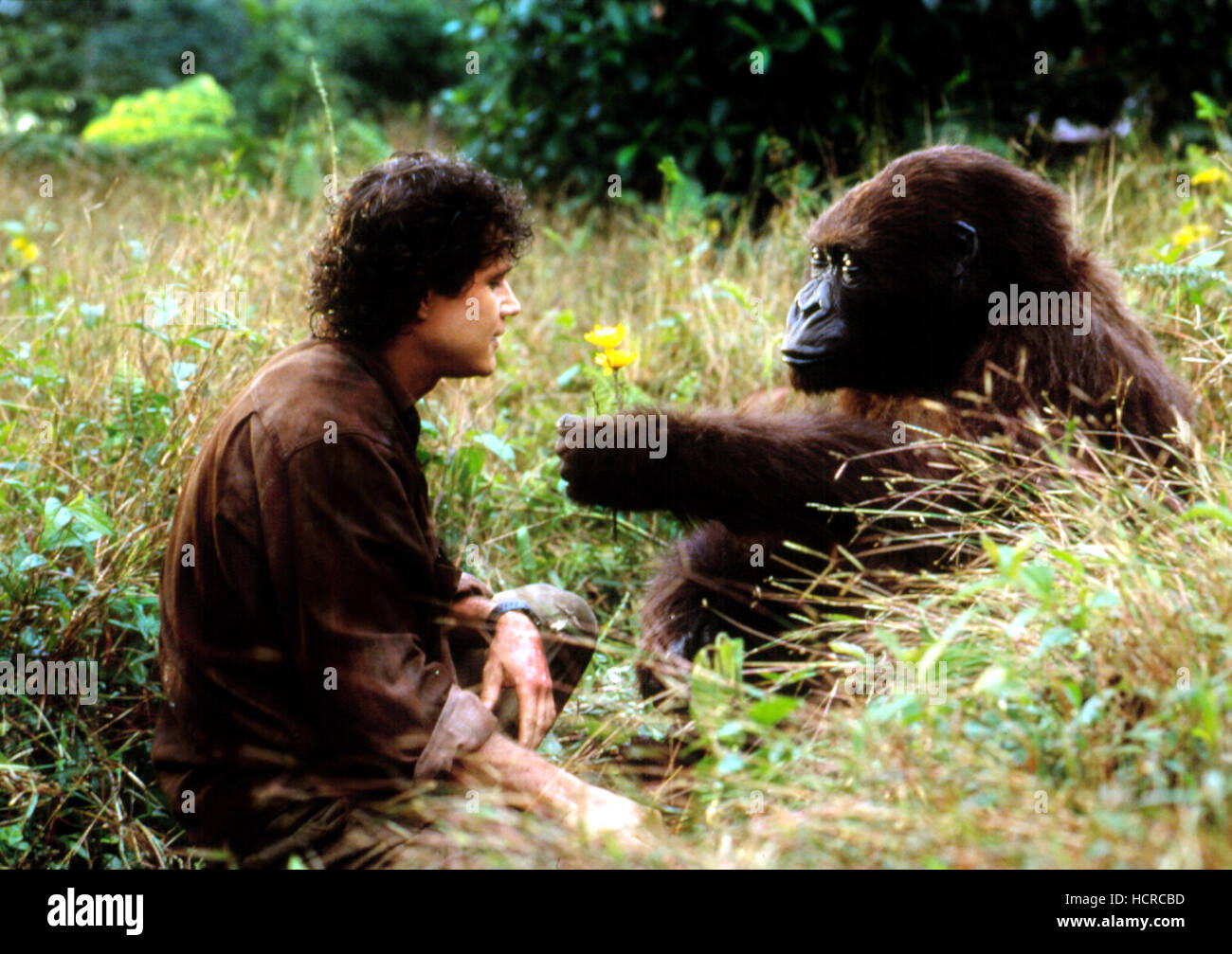 CONGO, Dylan Walsh, 1995 Stock Photo - Alamy