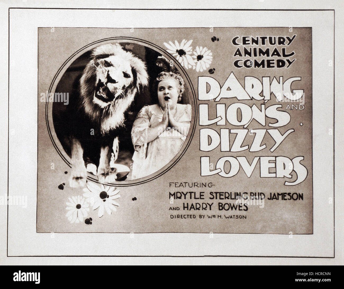 DARING LIONS AND DIZZY LOVERS, Merta Sterling, 1919 Stock Photo - Alamy
