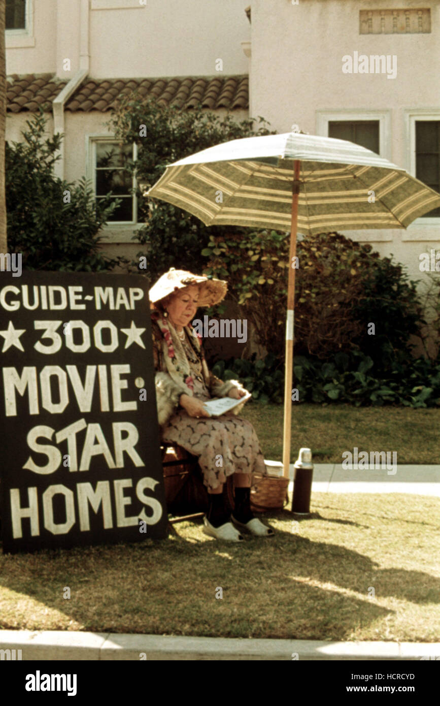 THE DAY OF THE LOCUST, 1975 Stock Photo - Alamy