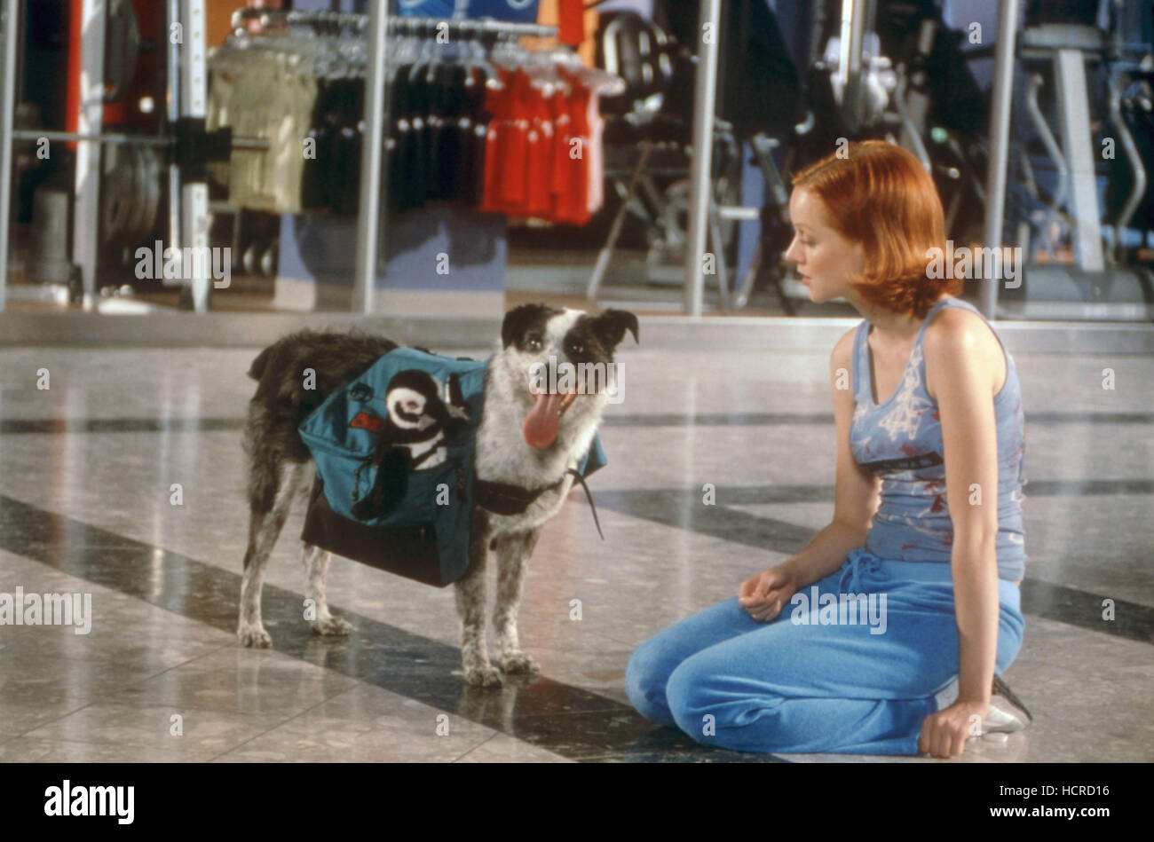 DAWN OF THE DEAD, Lindy Booth, 2004. ©Universal/courtesy Everett ...