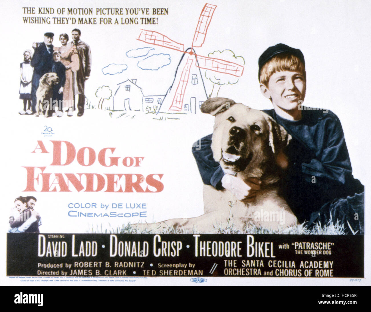 A DOG OF FLANDERS, David Ladd 9right), 1959, TM & Copyright © 20th ...