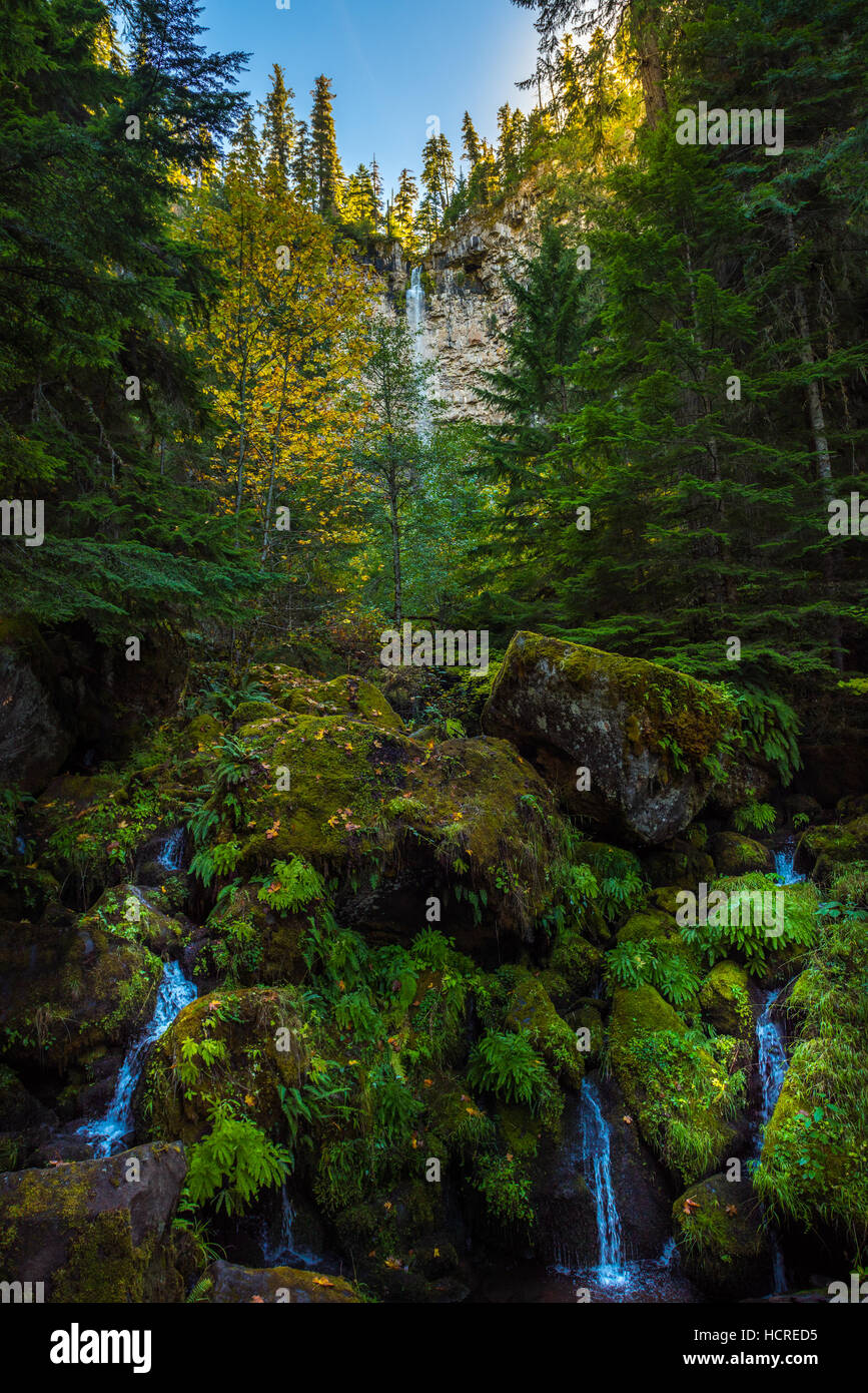 Douglas Watson High Resolution Stock Photography and Images - Alamy