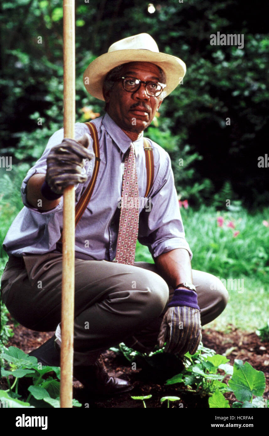 DRIVING MISS DAISY, Morgan Freeman, 1989 Stock Photo - Alamy