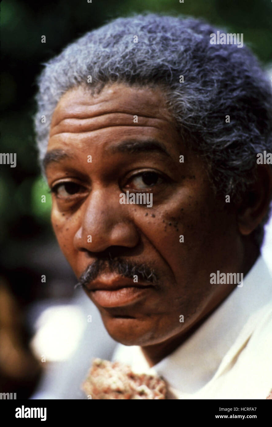 DRIVING MISS DAISY, Morgan Freeman, 1989 Stock Photo - Alamy