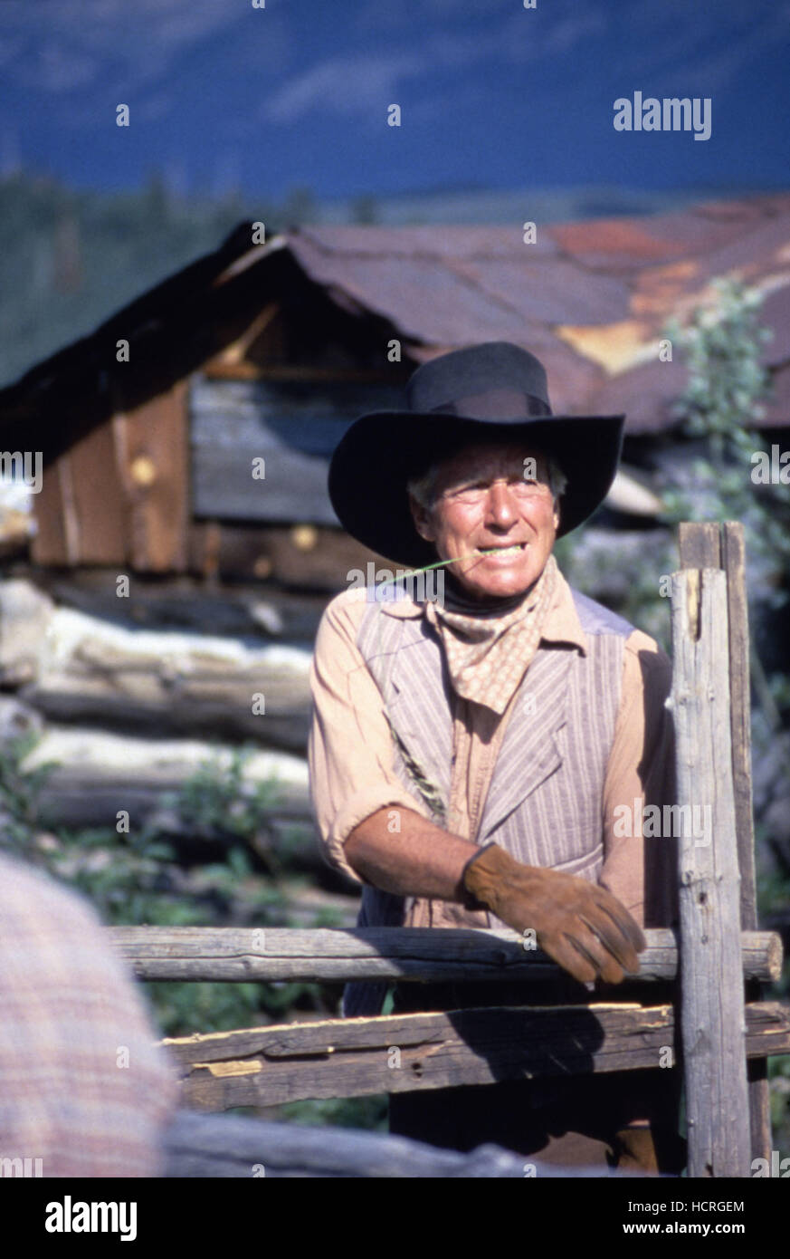 THE AVENGING, Efrem Zimbalist Jr., 1982 Stock Photo - Alamy