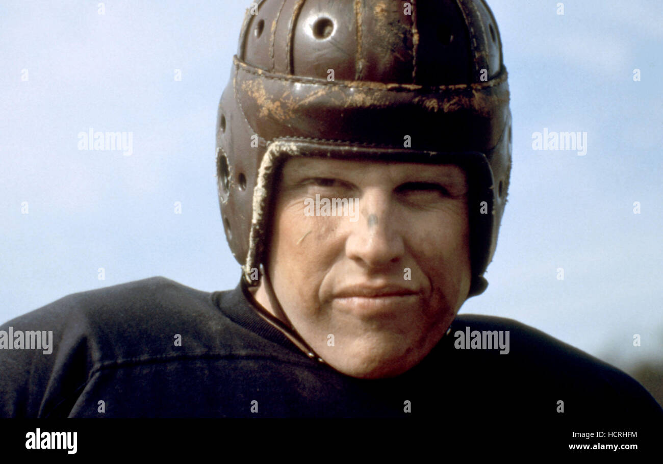 THE BEAR, Gary Busey, 1984, (c)Embassy Pictures/courtesy Everett ...