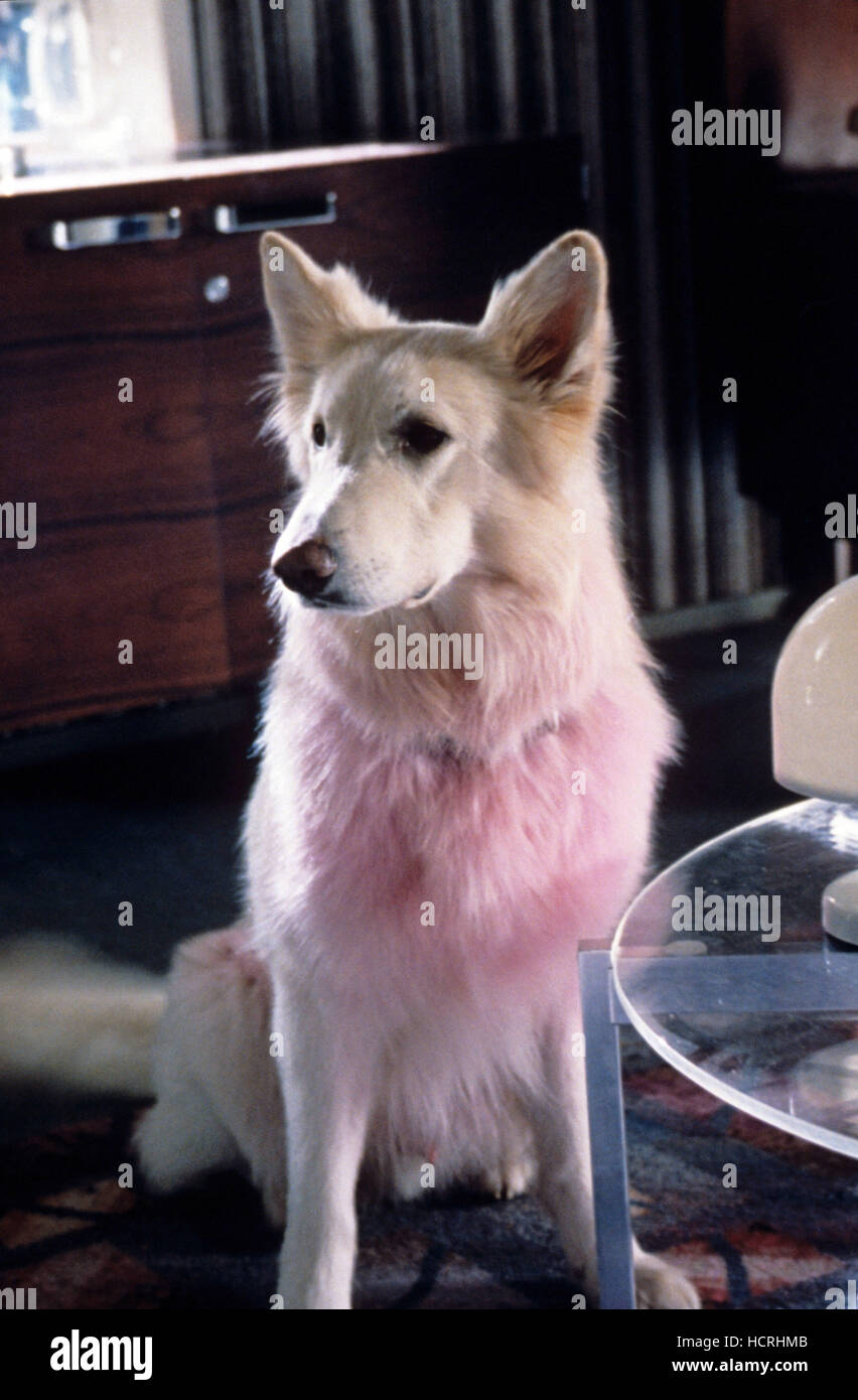 BEAUTIFUL CREATURES, 2000, © Universal/courtesy Everett Collection ...