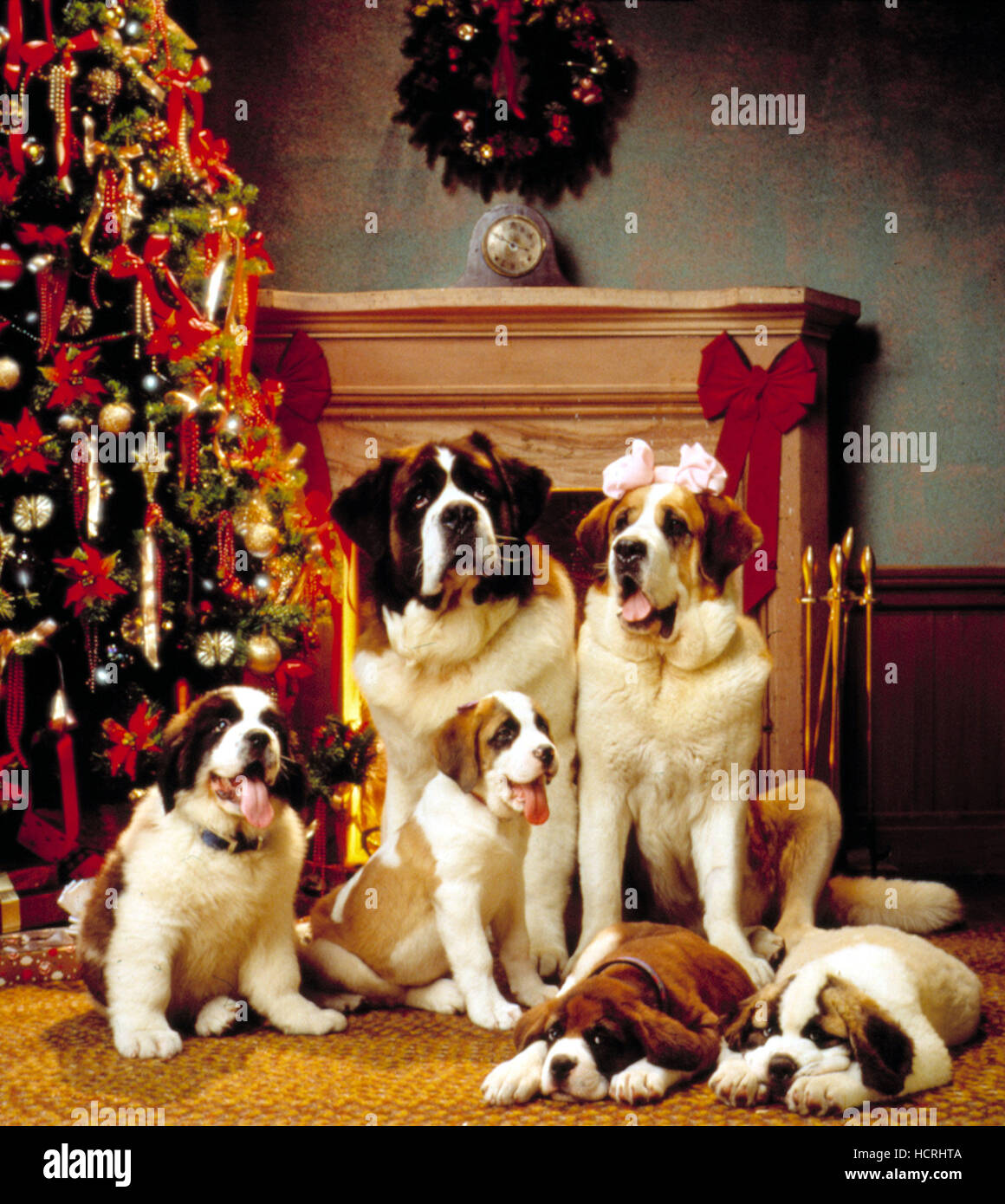 BEETHOVEN'S 2ND, Beethoven, Missy and family, 1993 Stock Photo - Alamy