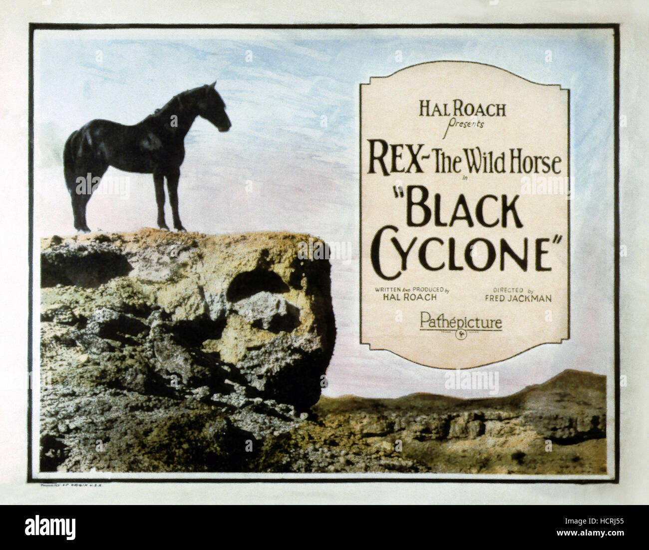 BLACK CYCLONE, Rex the Wild Horse (aka Rex the Wonder Horse), 1925 ...