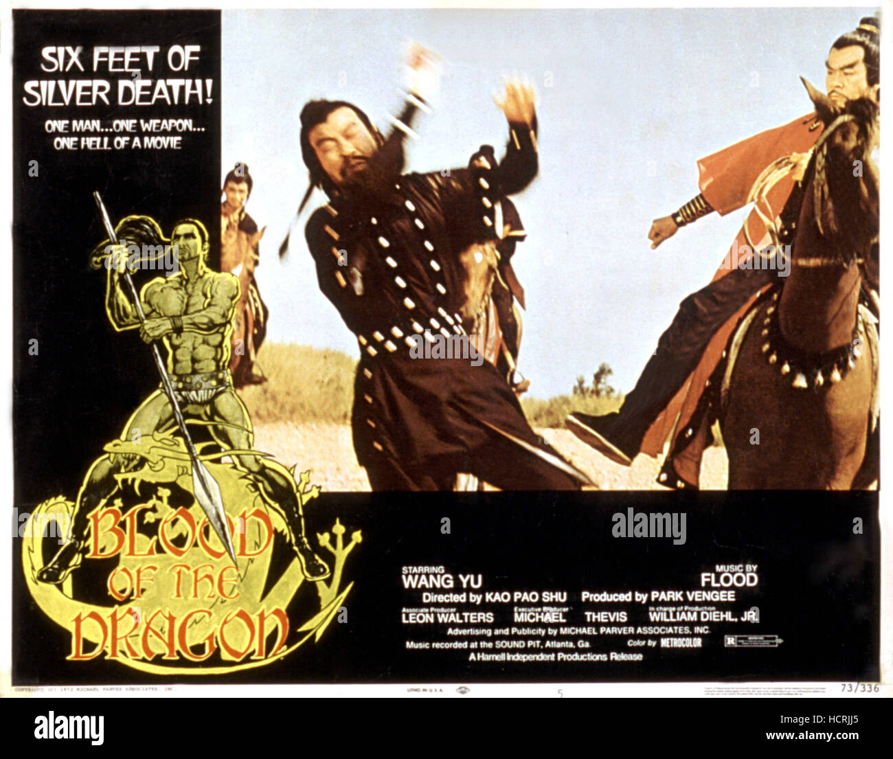 BLOOD OF THE DRAGON, (aka BLOOD OF THE NINJA aka DESPERATE CHASE aka ...