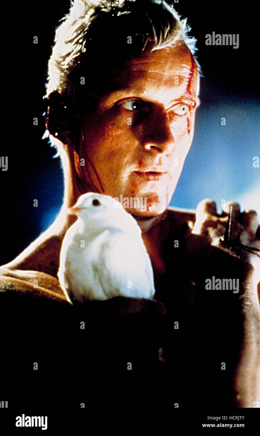BLADE RUNNER, Rutger Hauer, 1982, (c) Warner Bros./courtesy Everett ...