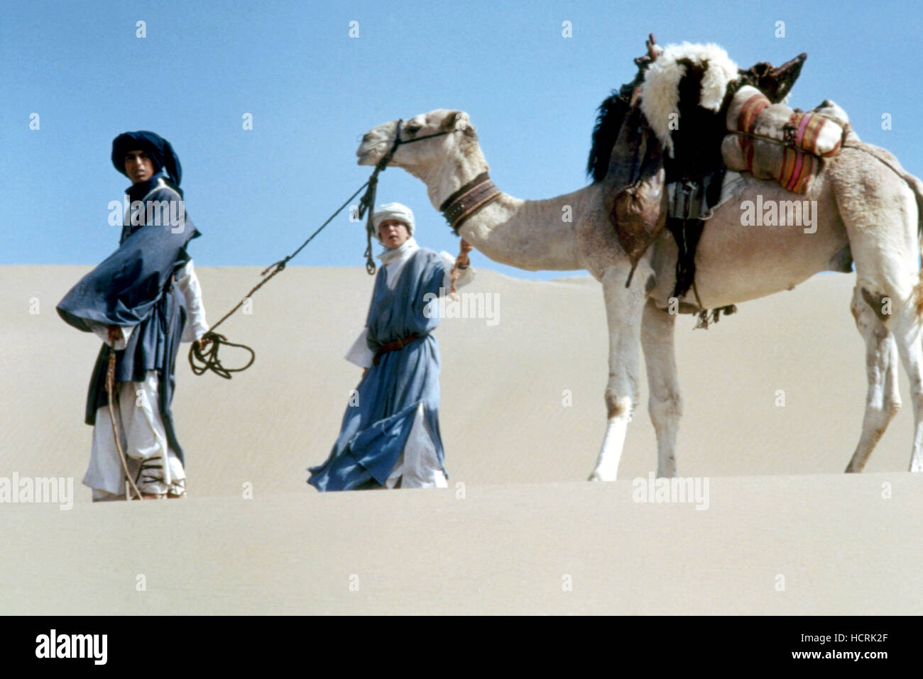 THE BLACK STALLION RETURNS, Vincent Spano, Kelly Reno, 1983, (c)MGM ...