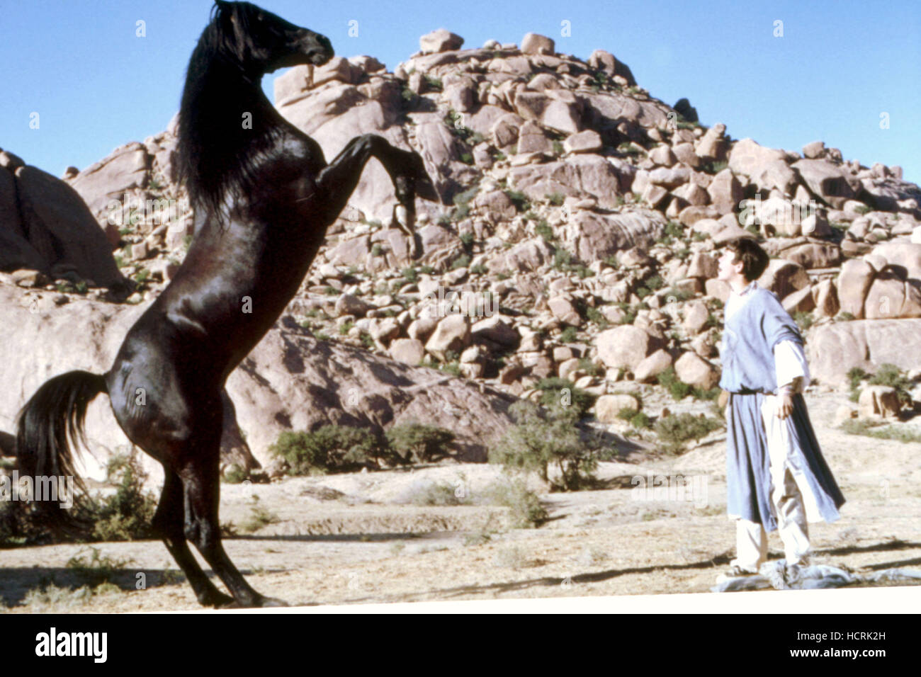 THE BLACK STALLION RETURNS, Kelly Reno, 1983, (c)MGM/courtesy Everett ...