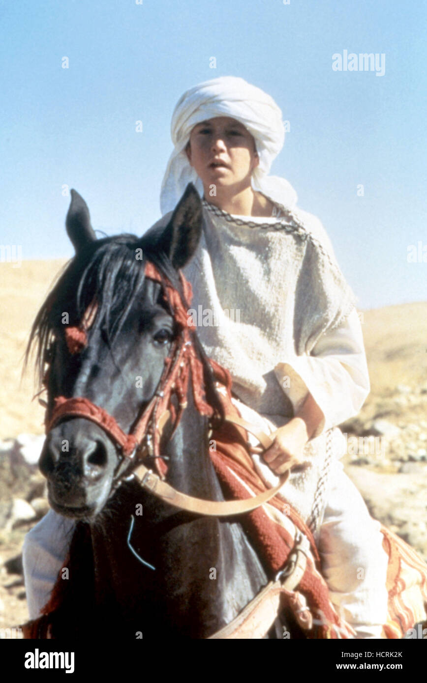 THE BLACK STALLION RETURNS, Kelly Reno, 1983, (c)MGM/courtesy Everett ...