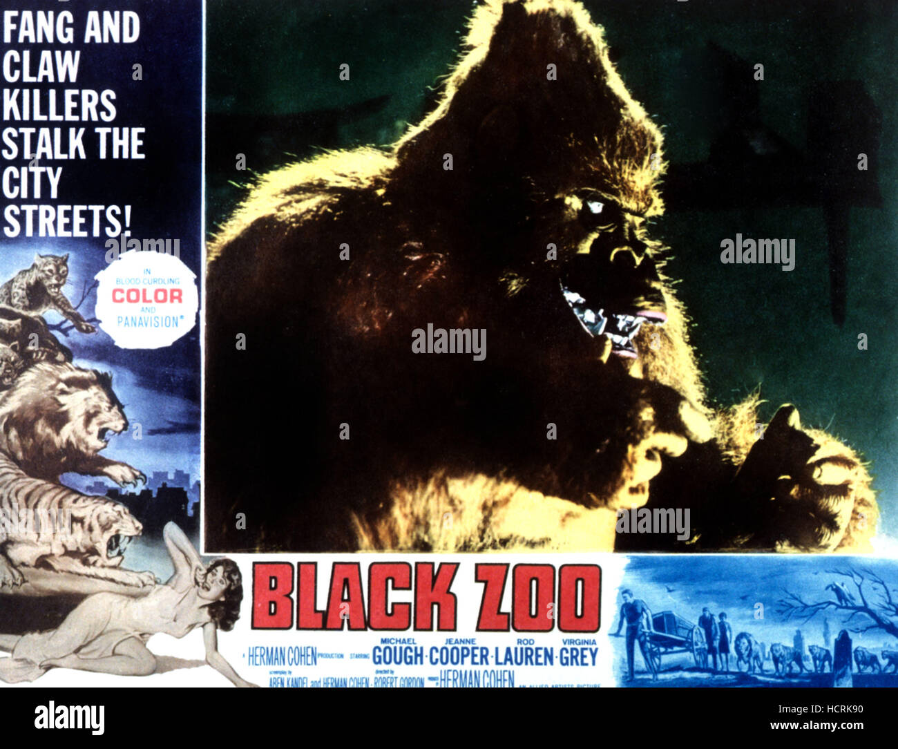 BLACK ZOO, George Barrows (inside costume) as Victor the Gorilla on ...
