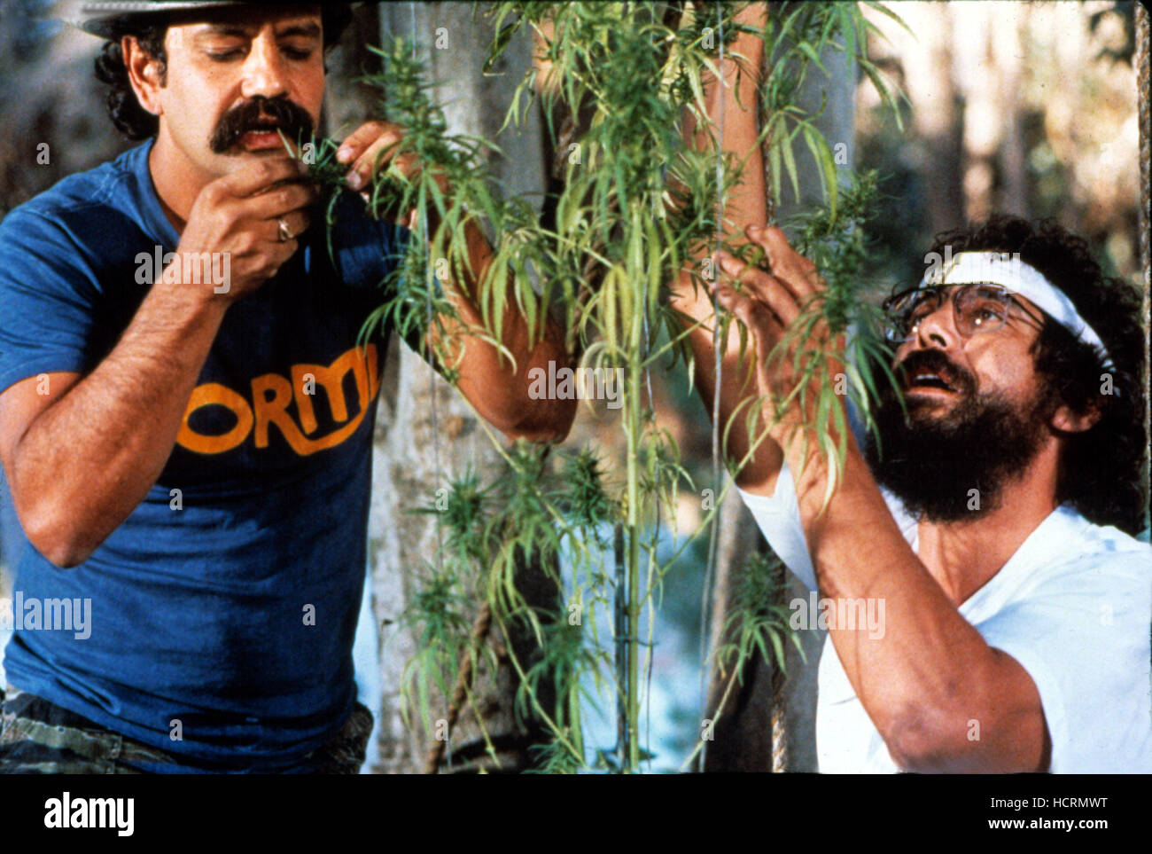 CHEECH AND CHONG'S NICE DREAMS, Cheech Marin, Tommy Chong, 1981 Stock ...