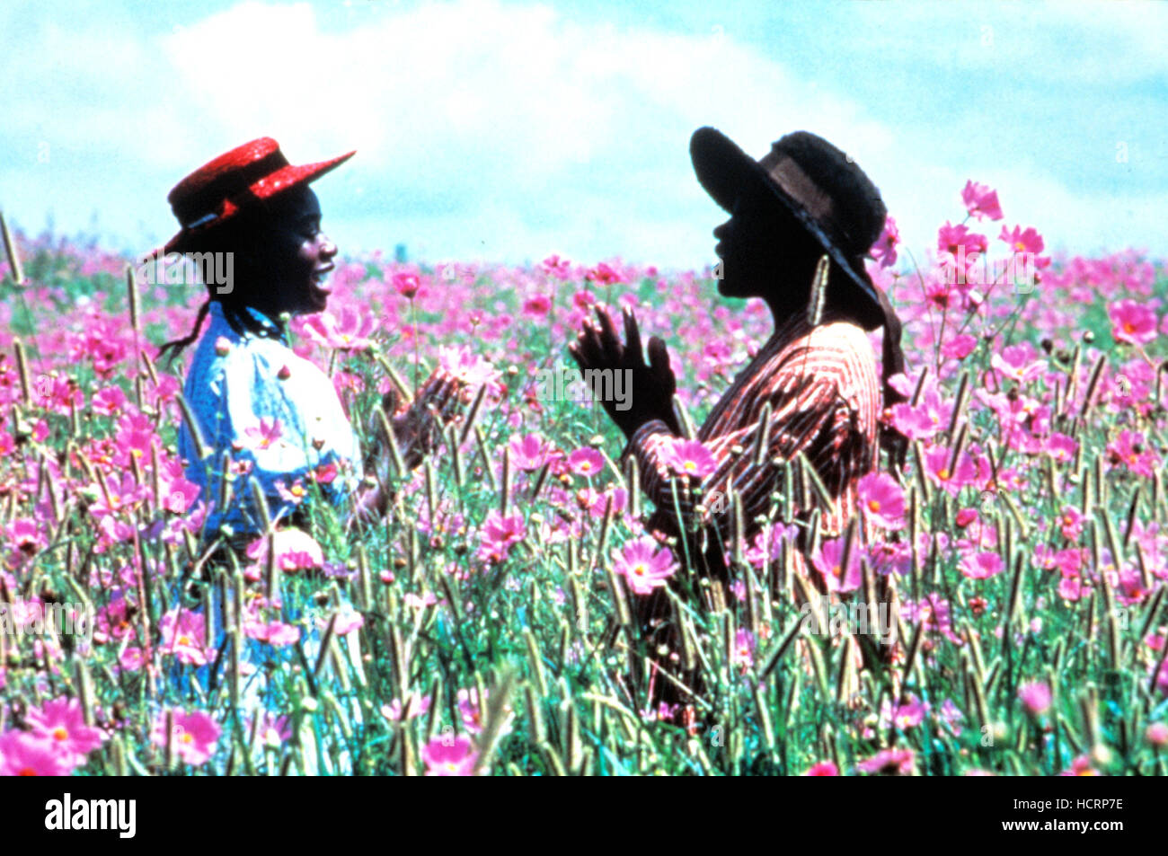 THE COLOR PURPLE, Akosua Busia, Desreta Jackson, 1985 Stock Photo - Alamy