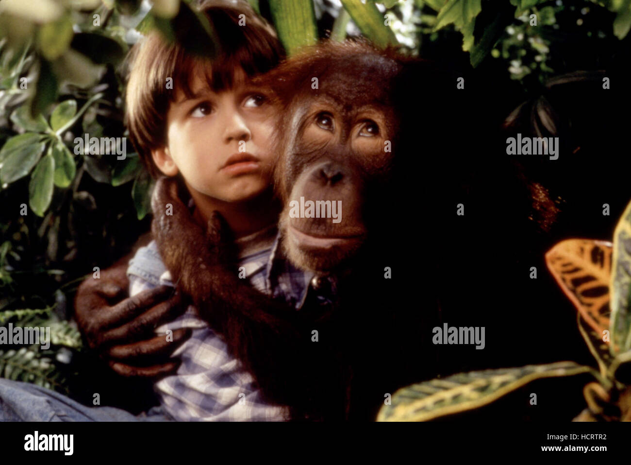 DUNSTON CHECKS IN, Eric Lloyd, Dunston the orangutan, 1996, TM and ...