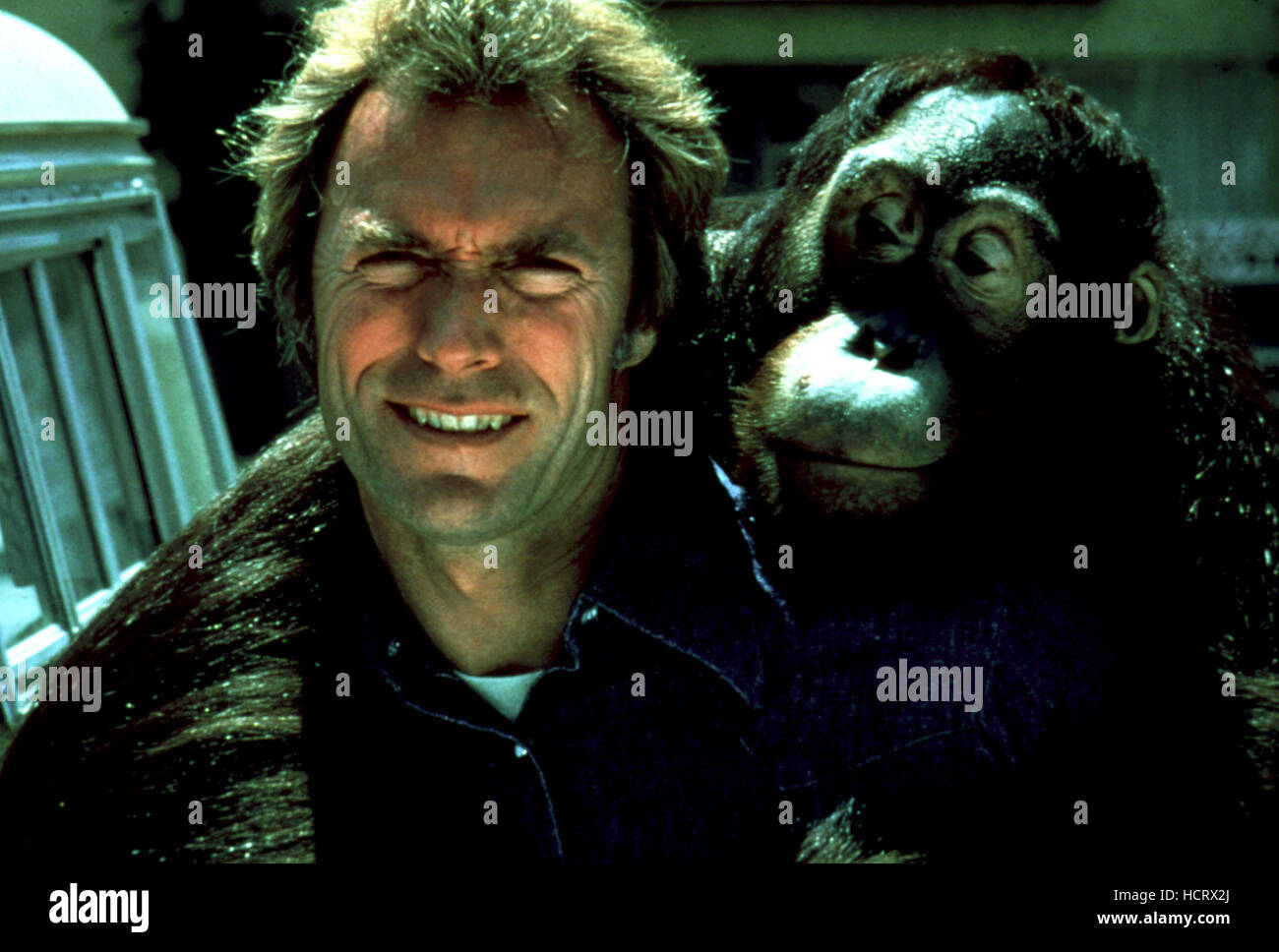 EVERY WHICH WAY BUT LOOSE, Clint Eastwood, Clyde the Orangutan, 1978 ...