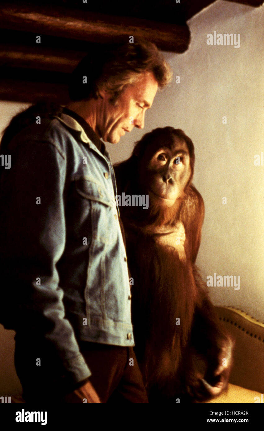 EVERY WHICH WAY BUT LOOSE, Clint Eastwood, Clyde the Orangutan, 1978 ...