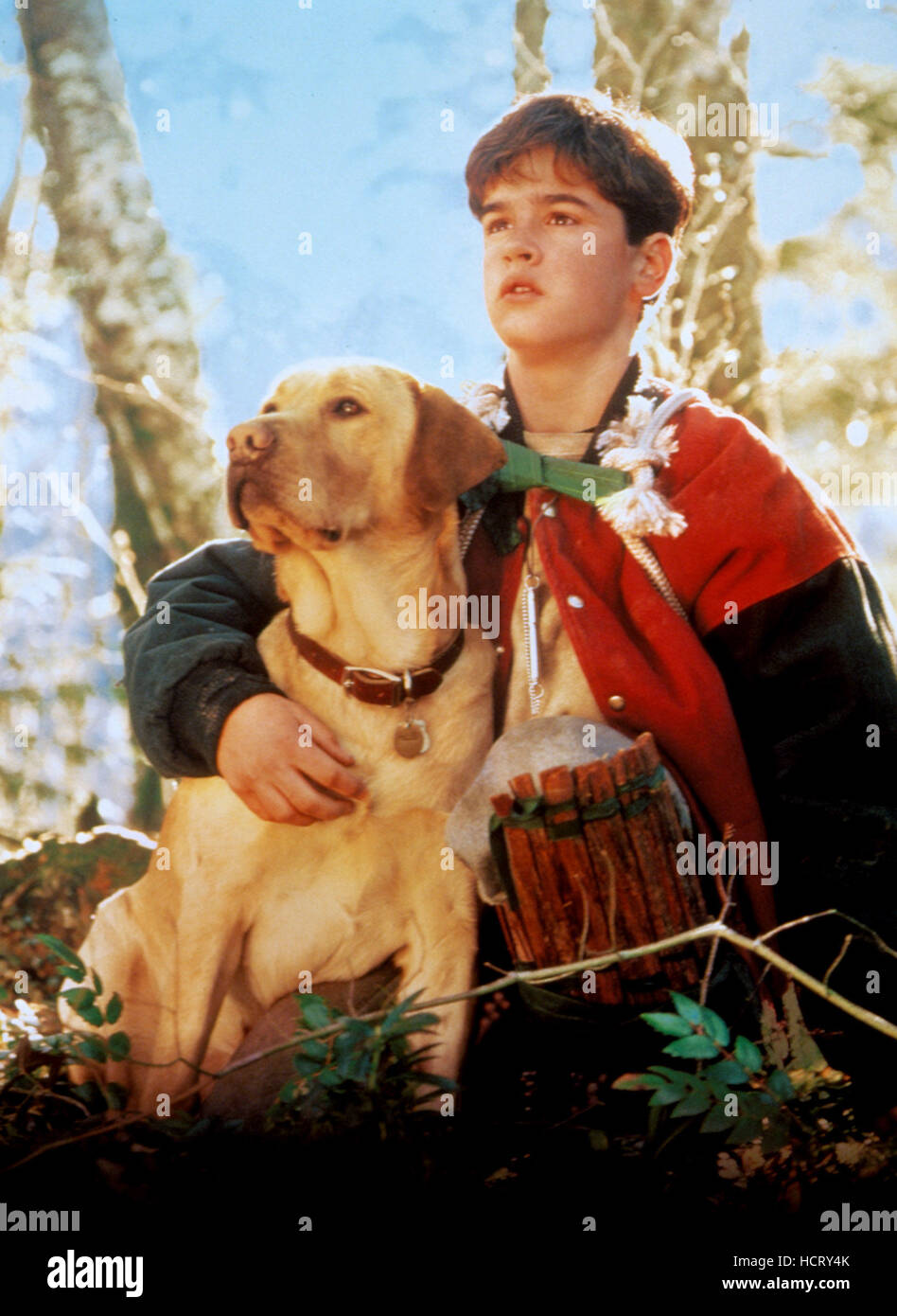 FAR FROM HOME: THE ADVENTURES OF YELLOW DOG, Jesse Bradford, 1995 Stock ...