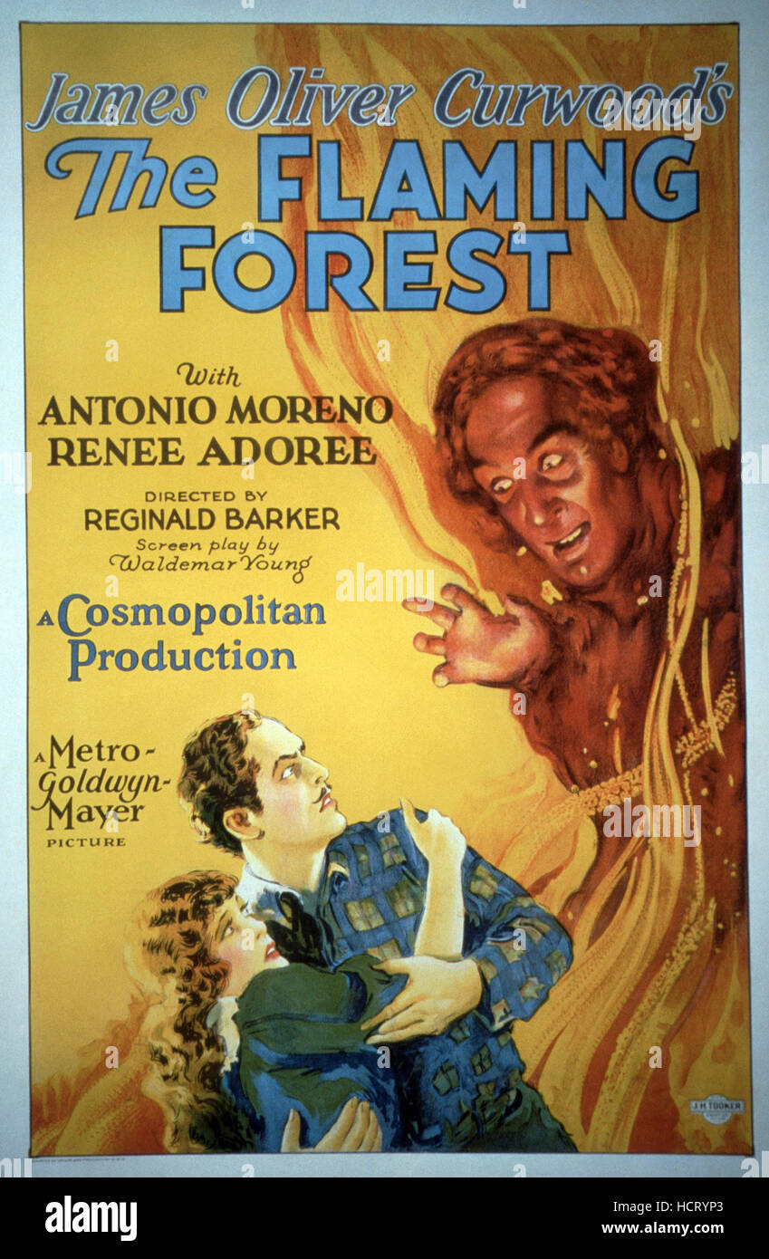 THE FLAMING FOREST, from left: Renee Adoree, Antonio Moreno, 1926 Stock ...
