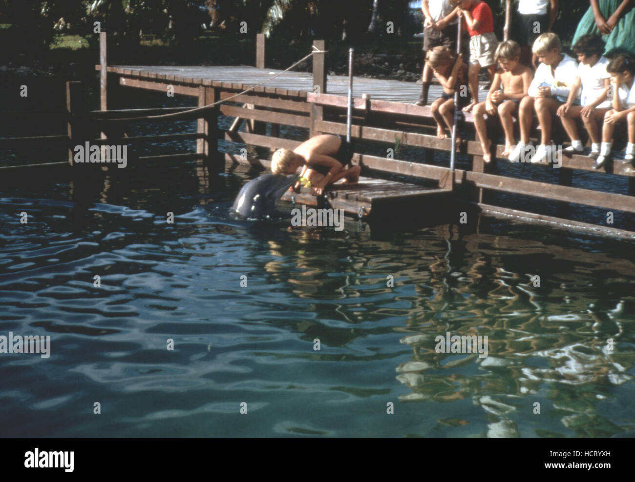 FLIPPER, Flipper, Luke Halpin, 1964-1968 Stock Photo - Alamy