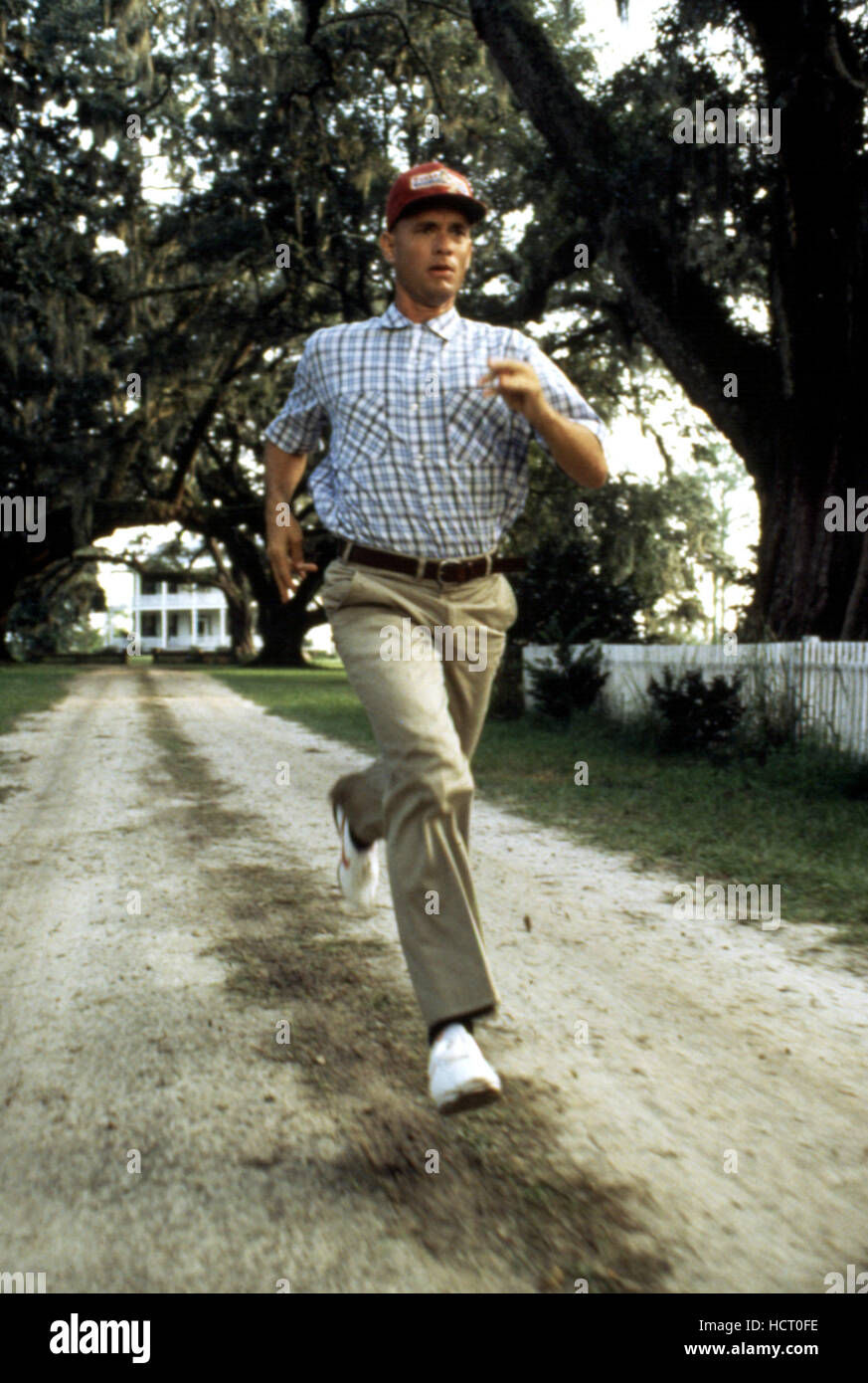 FORREST GUMP, Tom Hanks, 1994. (c) Paramount Pictures/ Courtesy ...