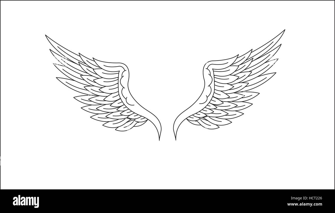 Wings frame vector vectors hi-res stock photography and images - Alamy