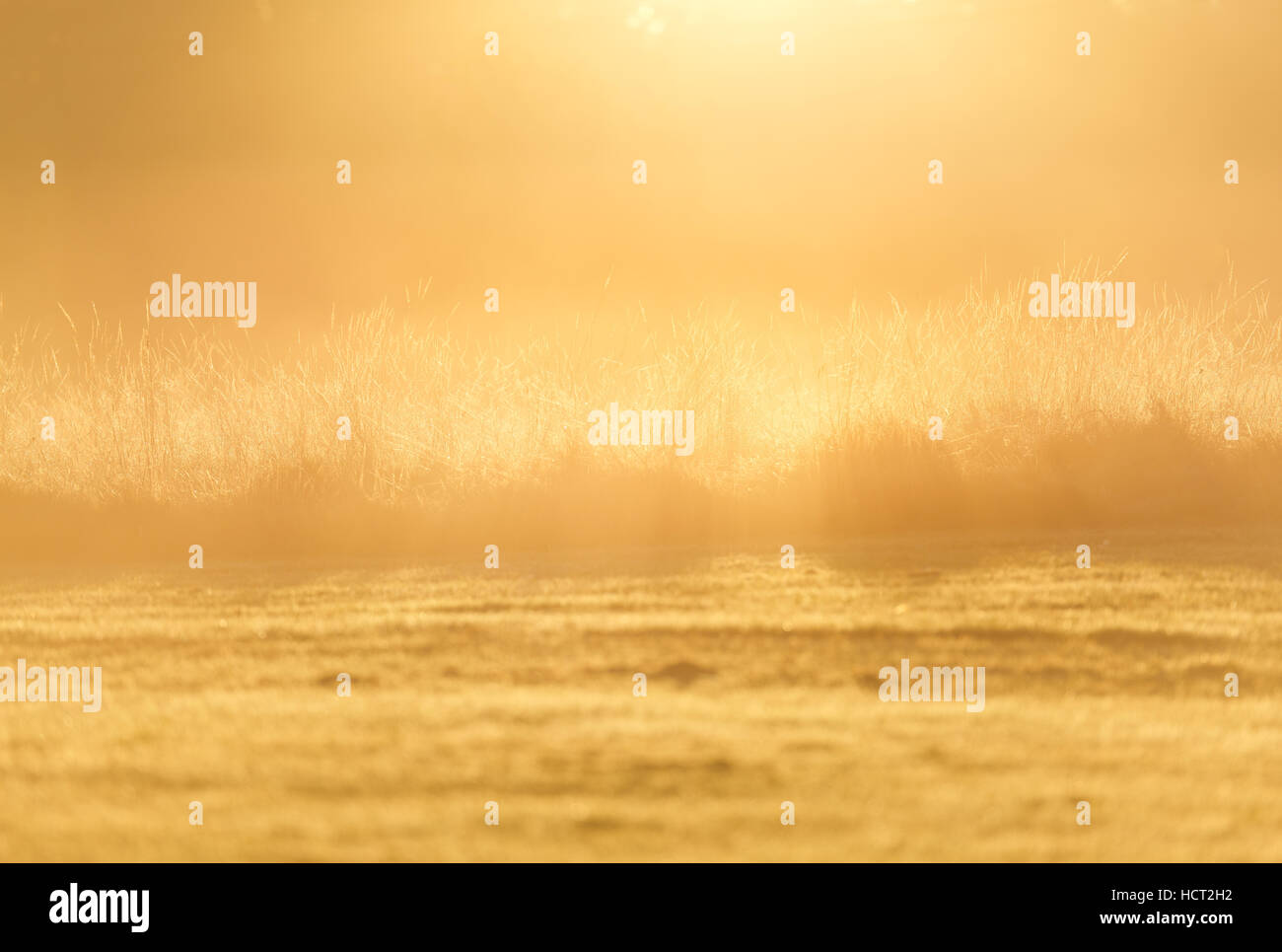 Overhead sun hi-res stock photography and images - Alamy