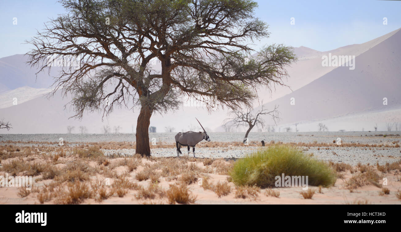 beautiful landscape in Namibia Stock Photo - Alamy