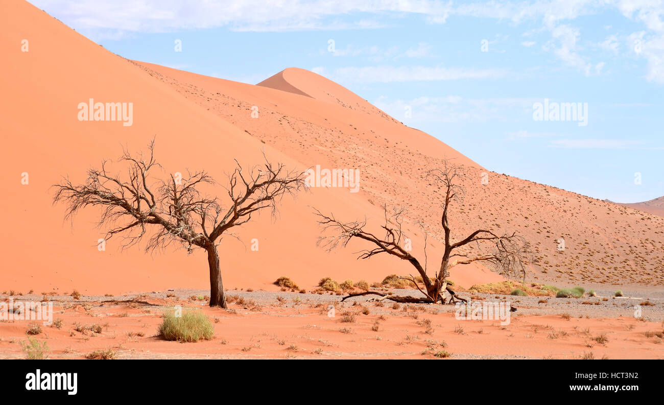 beautiful desert landscape Stock Photo - Alamy