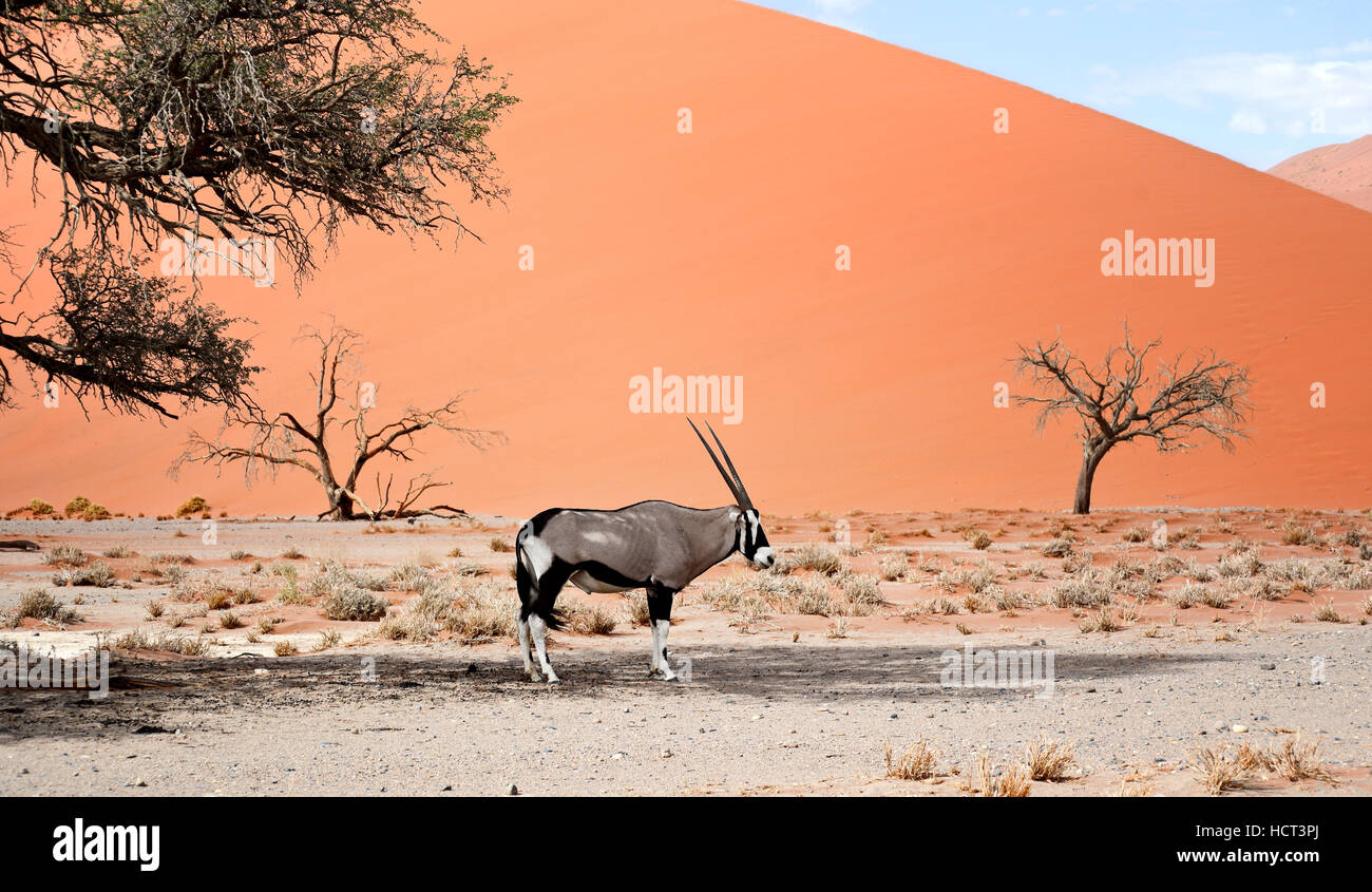 beautiful landscape in Namibia Stock Photo - Alamy