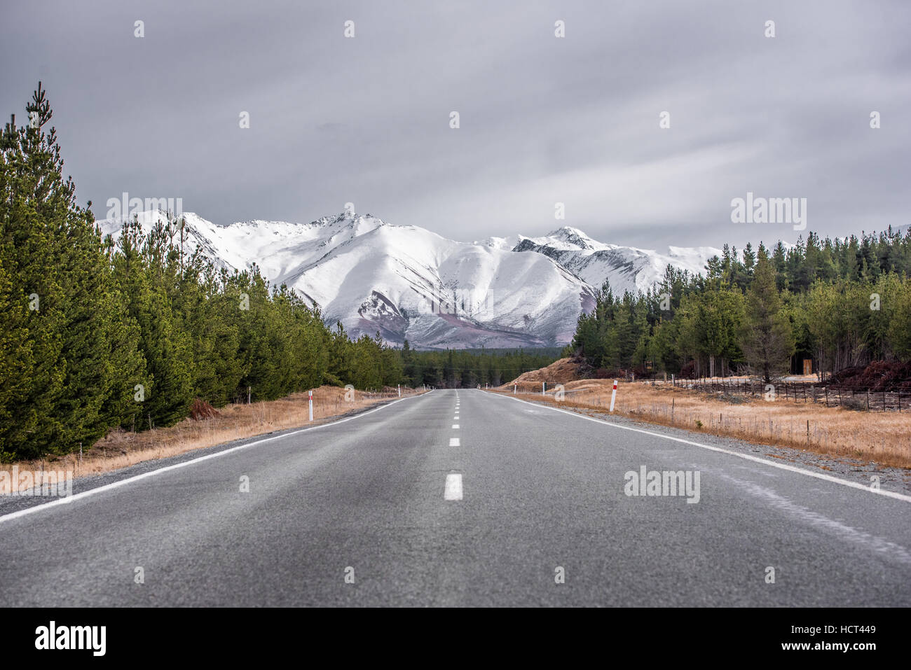 Empty road mountains trees hi-res stock photography and images - Alamy