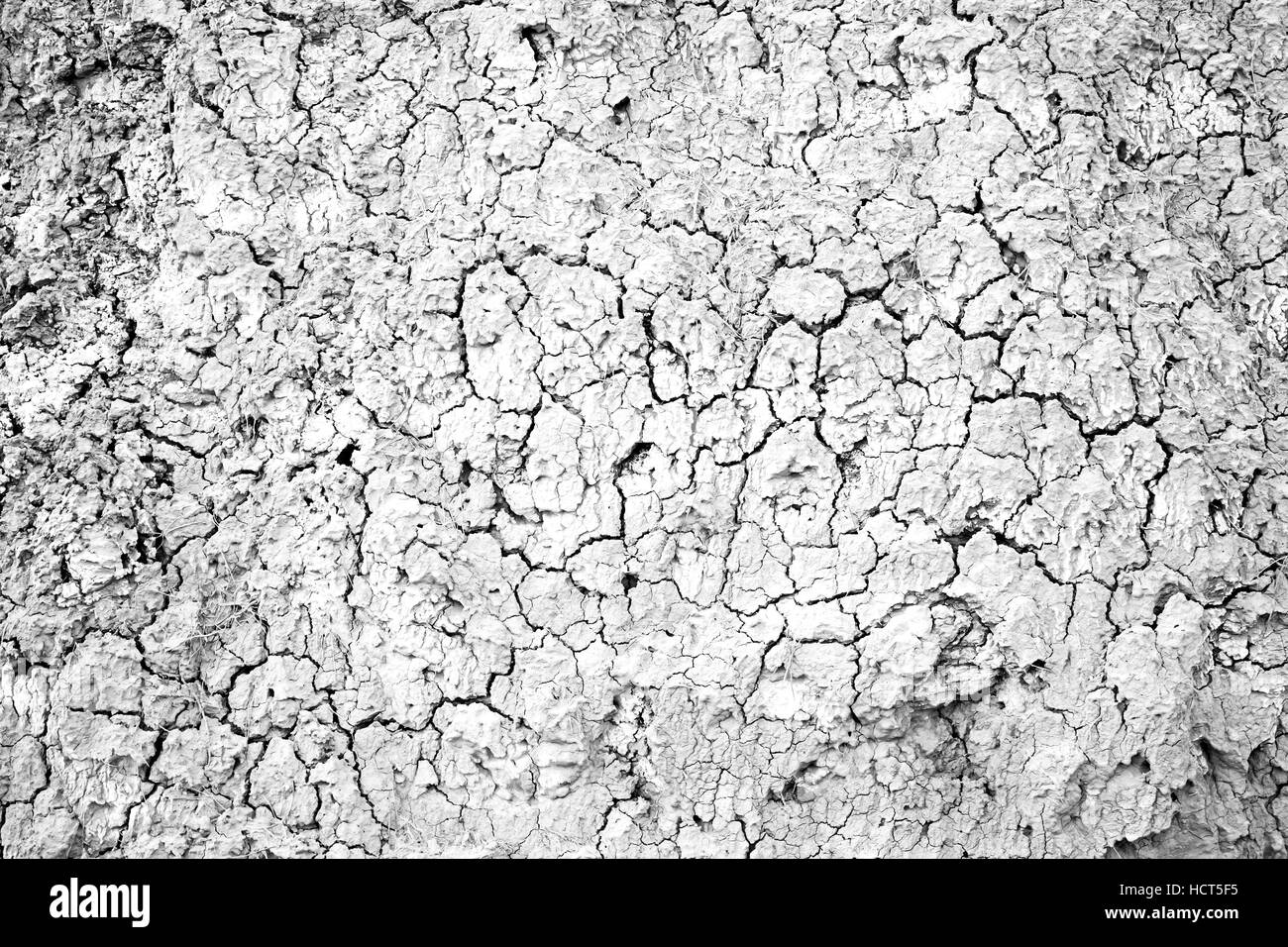 Dry land in a field, detail of a drought, climate damage, catastrophe ...