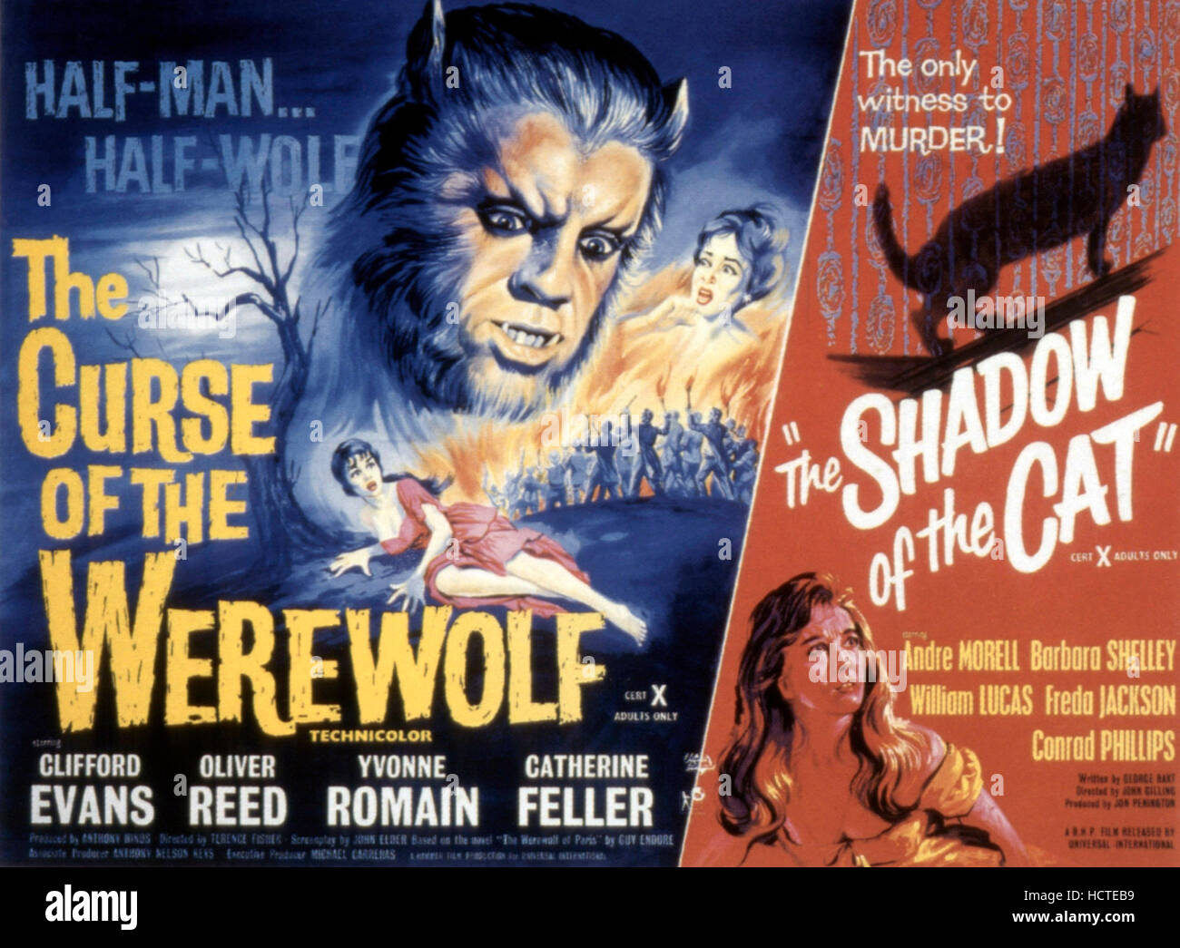 THE CURSE OF THE WEREWOLF, Oliver Reed, 1961, SHADOW OF THE CAT ...