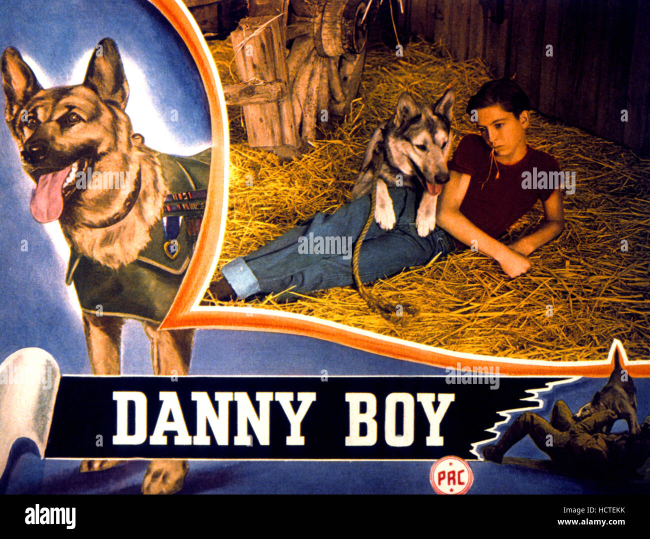 DANNY BOY, l-r: Ace the Wonder Dog (as Danny Boy), Robert 'Buzz' Henry ...