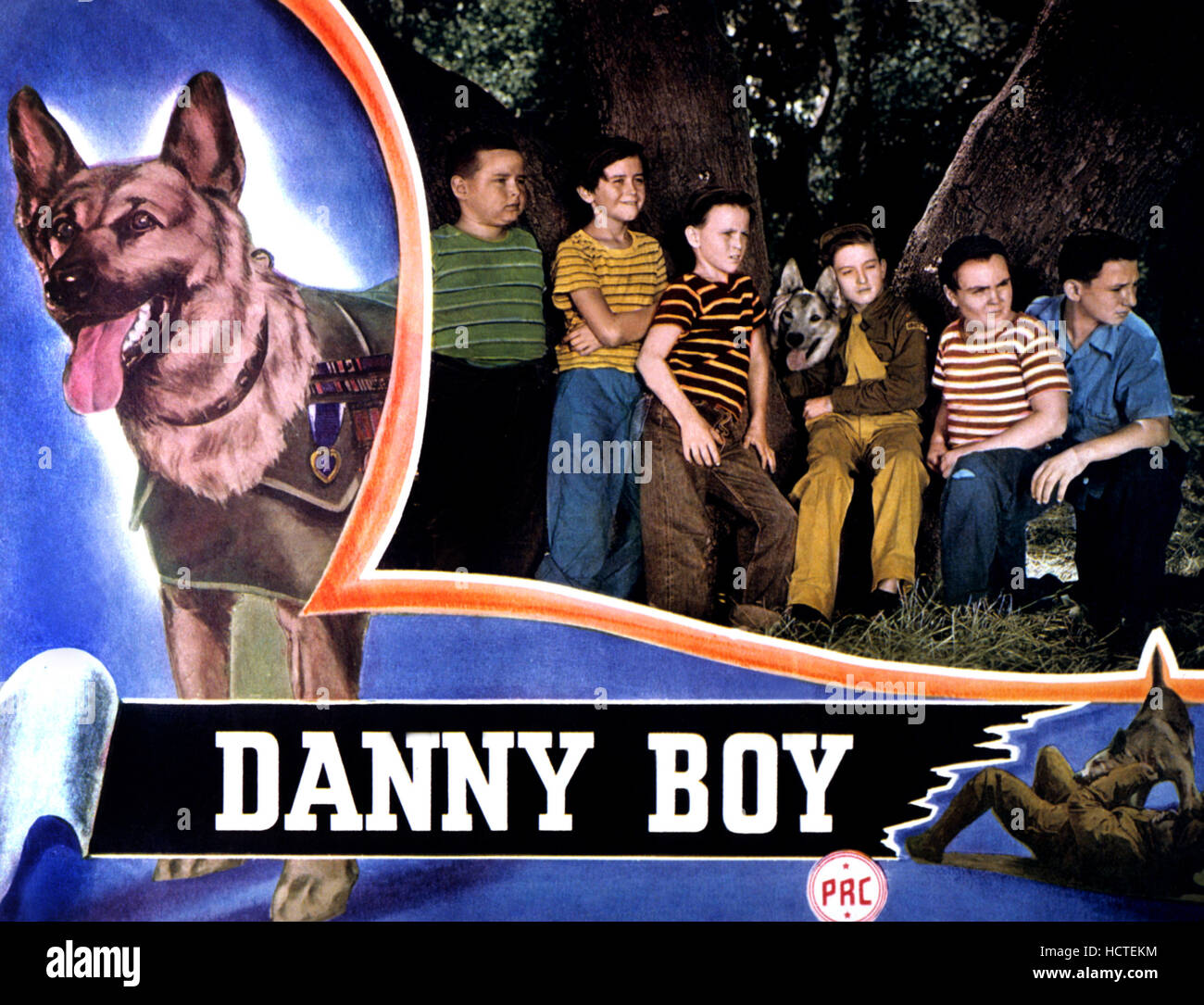 DANNY BOY, left: Ace the Wonder Dog, center: Ace the Wonder Dog, right ...