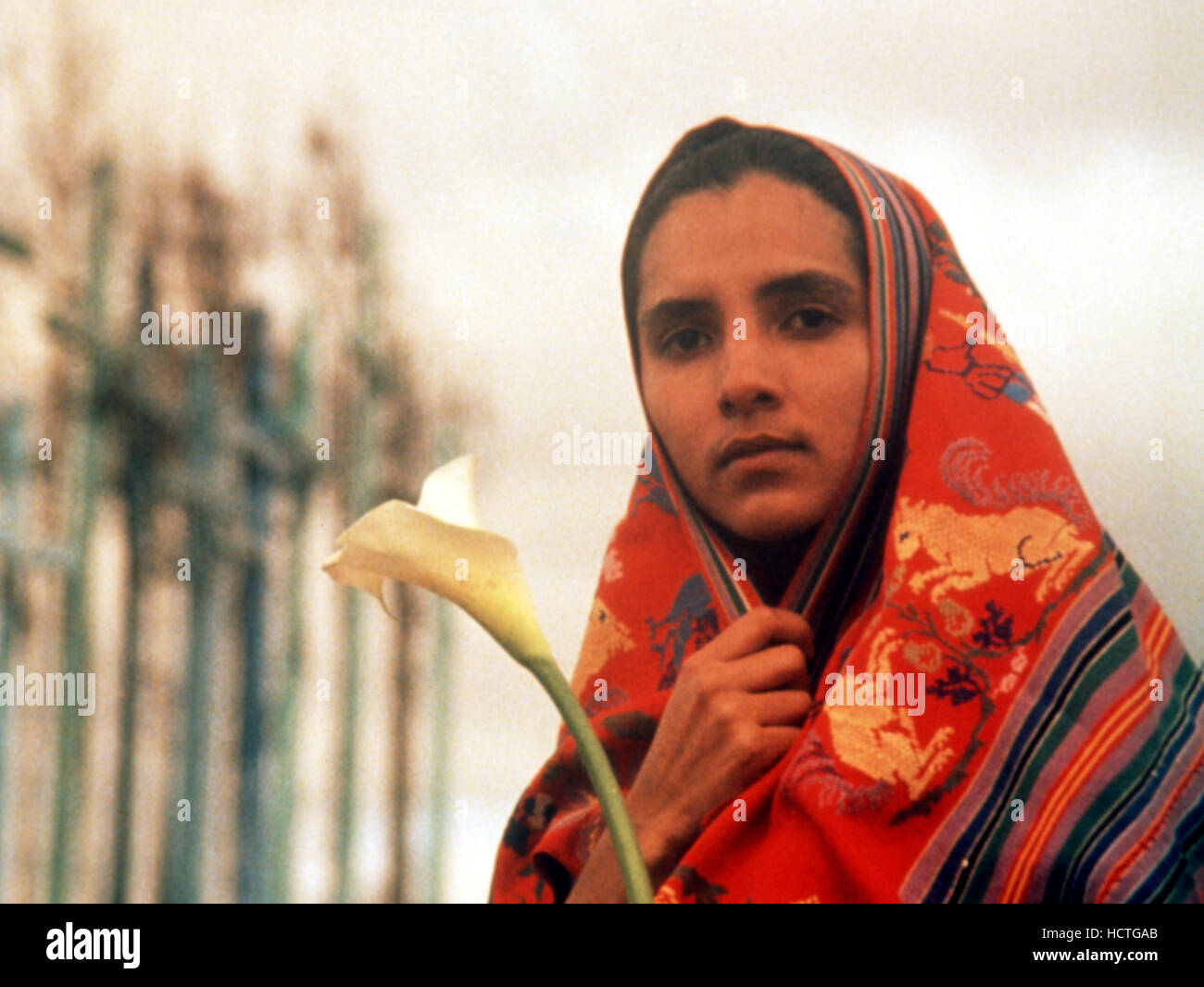 EL NORTE, Zaida Silvia Gutierrez, 1983, (c) Artisan/courtesy Everett ...