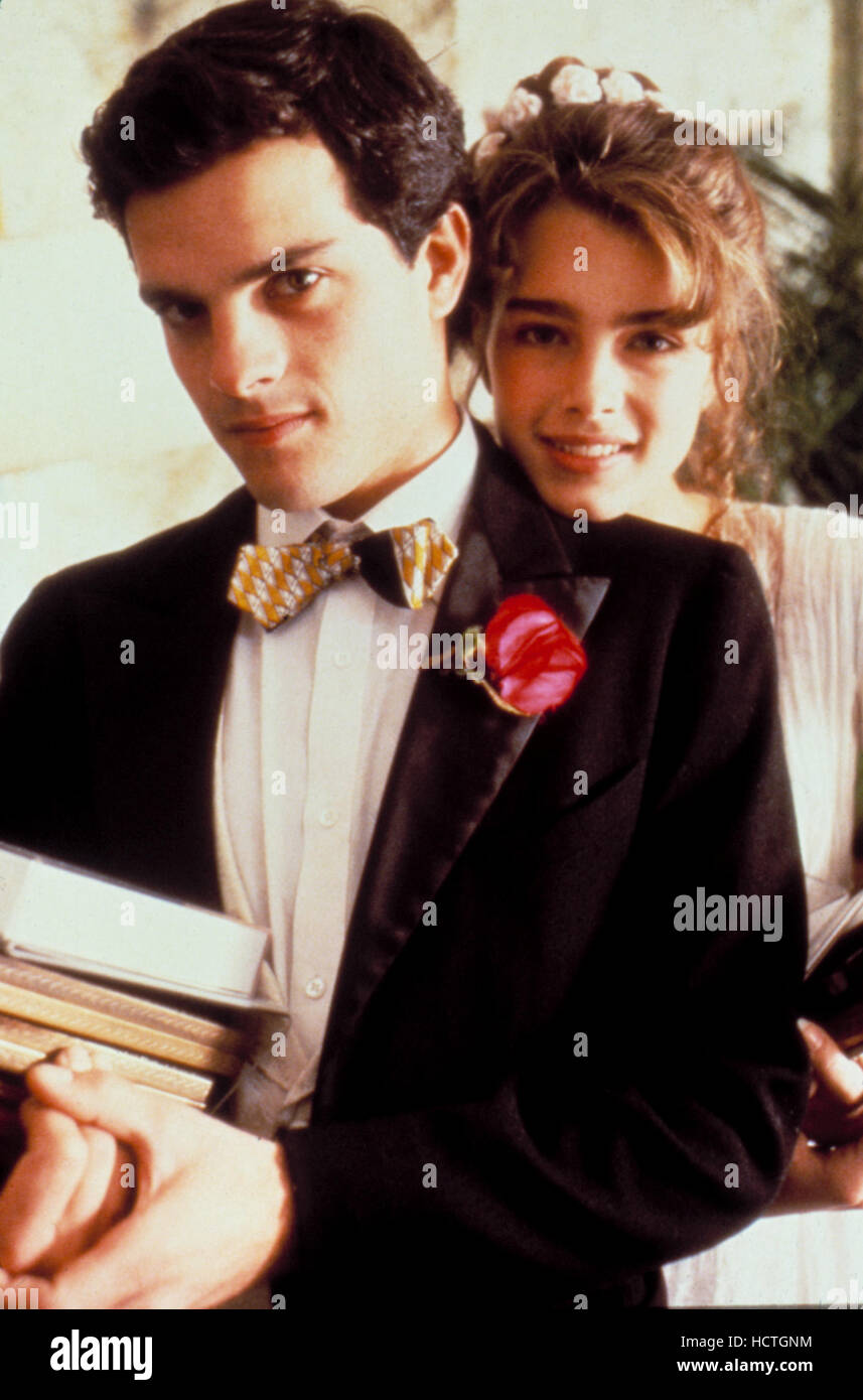 ENDLESS LOVE, Martin Hewitt, Brooke Shields, 1981. (c) Universal ...