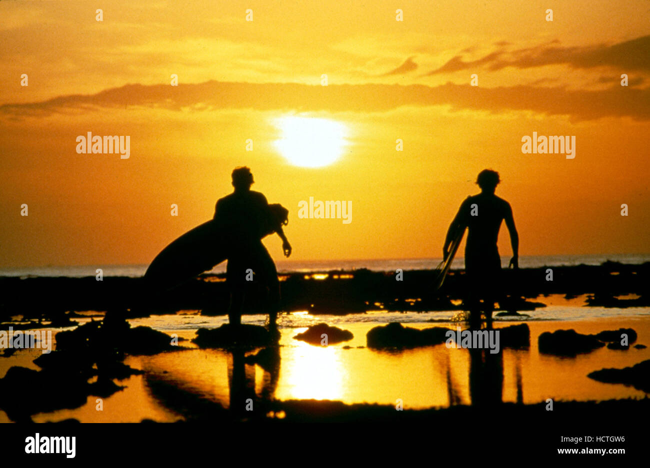 ENDLESS SUMMER 2, 1994 Stock Photo - Alamy
