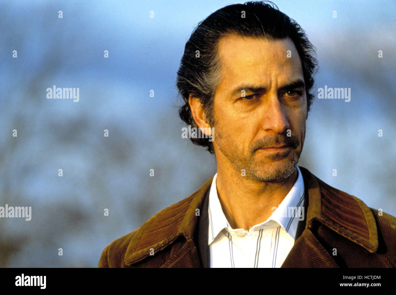 FIRM, David Strathairn, 1993 Stock Photo - Alamy