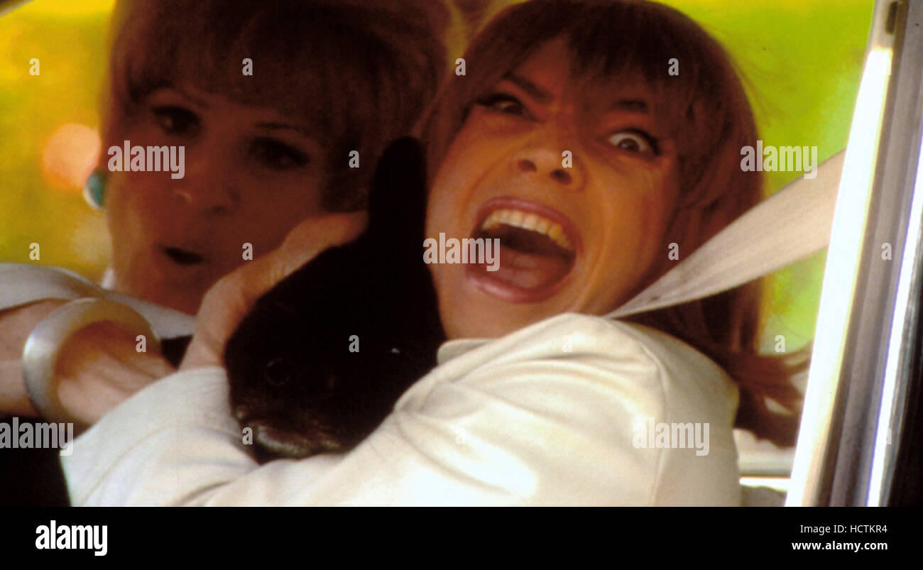 GIRLS WILL BE GIRLS, Clinton Leupp, Jack Plotnick, 2003 Stock Photo - Alamy