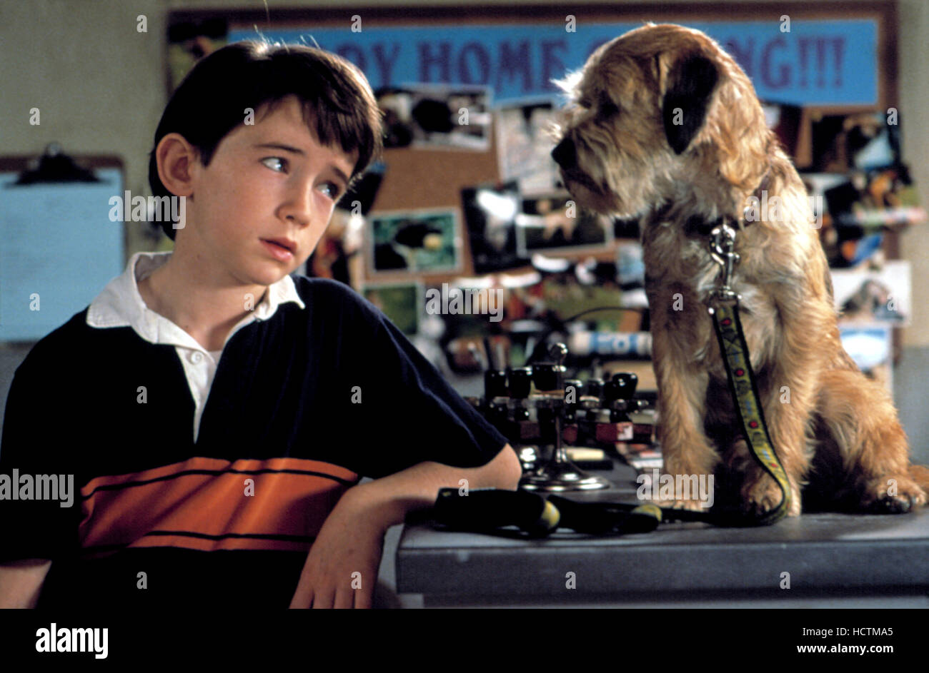 GOOD BOY!, Liam Aiken, Hubble the dog, 2003, (c) MGM/courtesy Everett ...