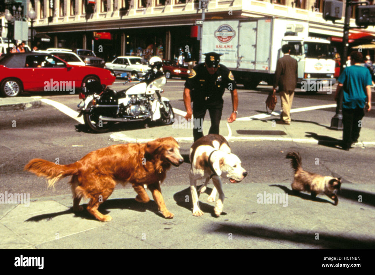 HOMEWARD BOUND II: Lost in San Francisco, 1996 Stock Photo - Alamy