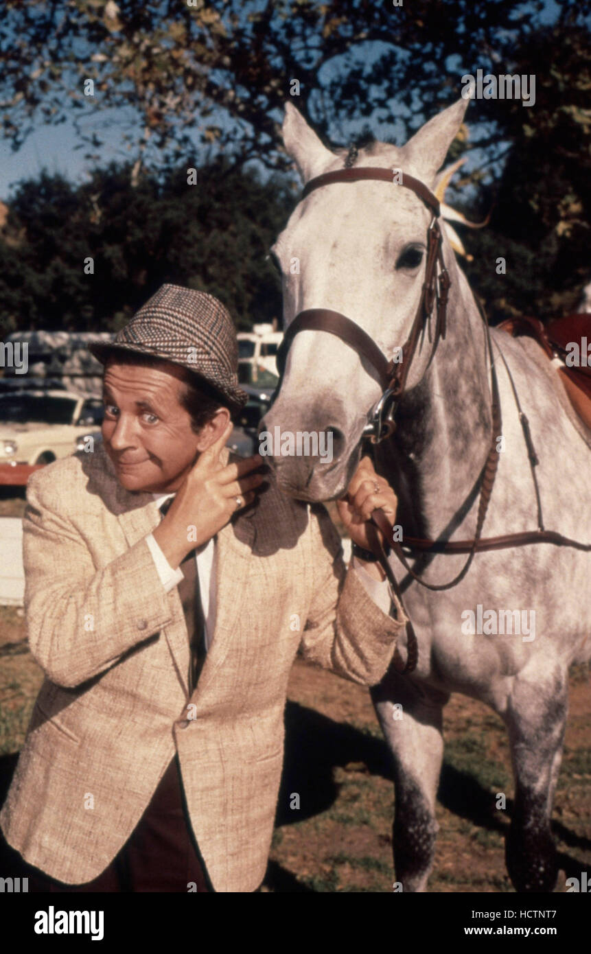 THE HORSE IN THE GRAY FLANNEL SUIT, Morey Amsterdam, 1968 Stock Photo ...