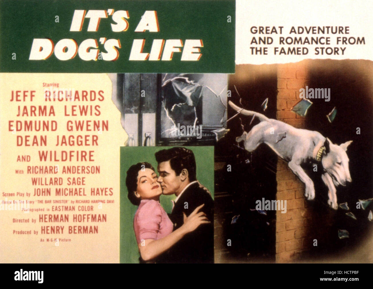 IT'S A DOG'S LIFE, (aka BAR SINISTER), Jarma Lewis, Jeff Richards, 1955 ...