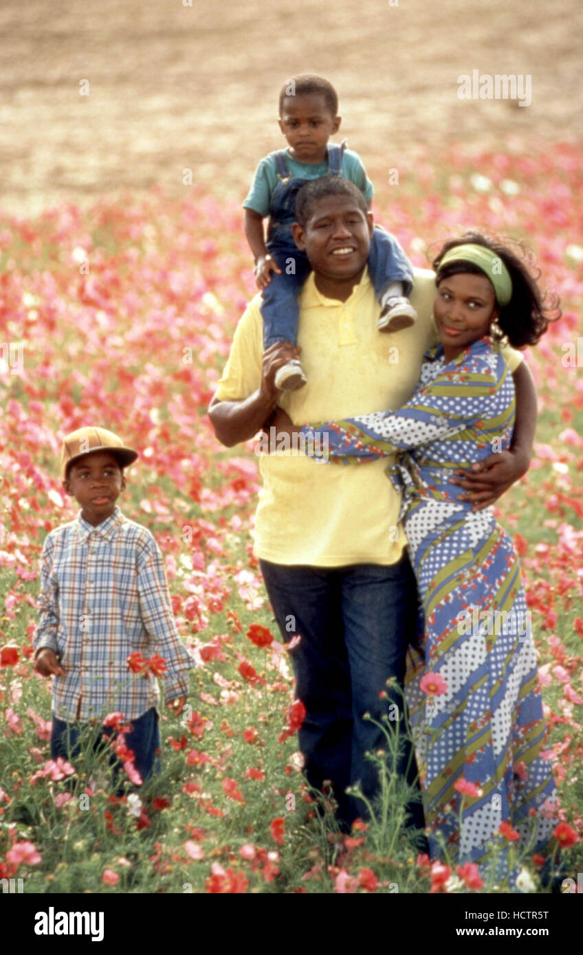 JASON'S LYRIC, Forest Whitaker, 1994, (c)Gramercy Pictures/courtesy ...