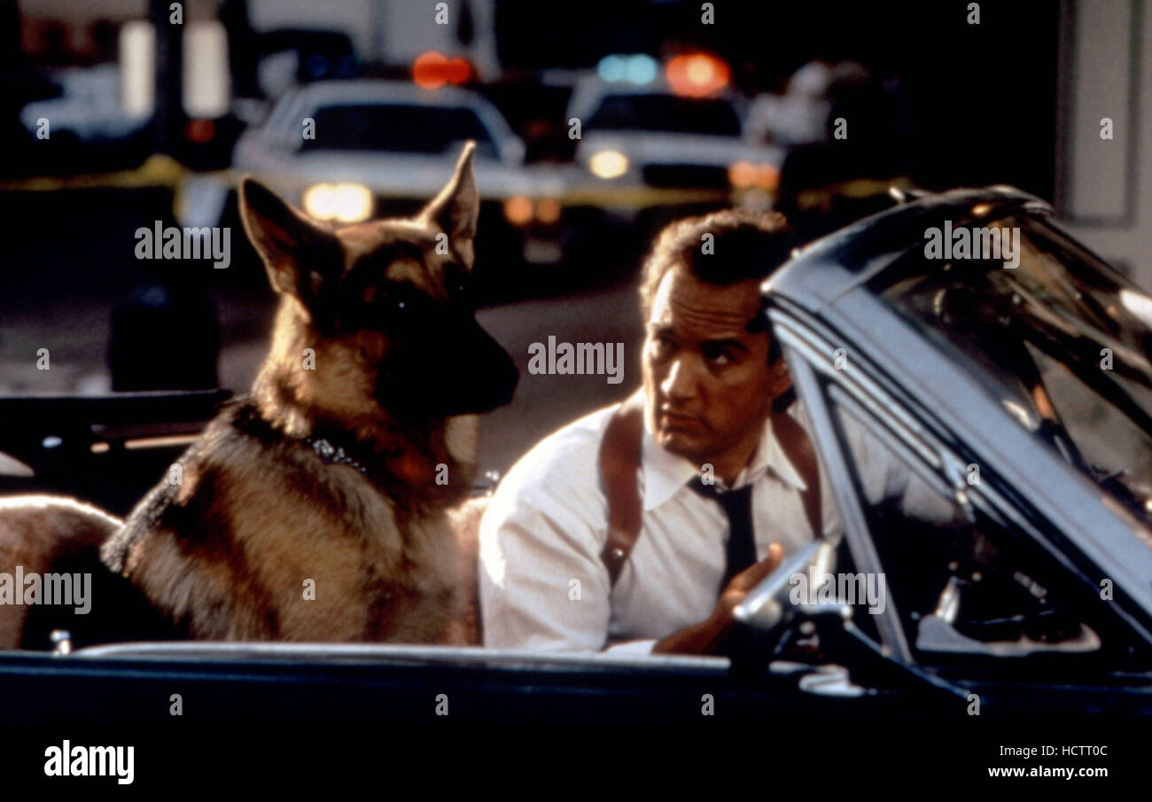 K-9, Jerry Lee, Jim Belushi, 1989 © Unversal Pictures/ Courtesy Everett ...